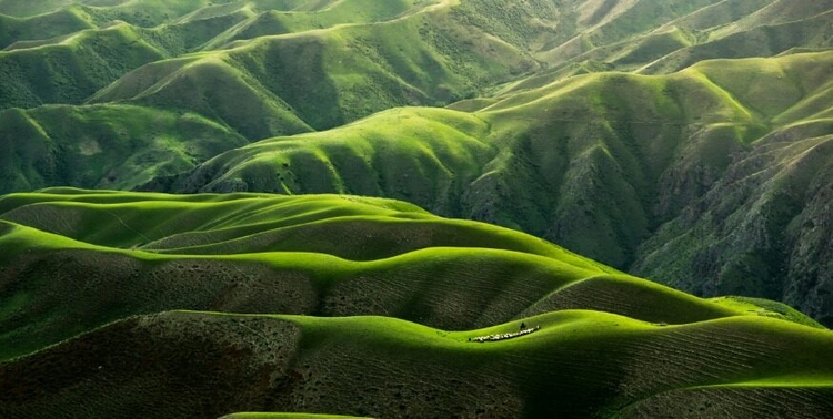 Working Groups - INQUA