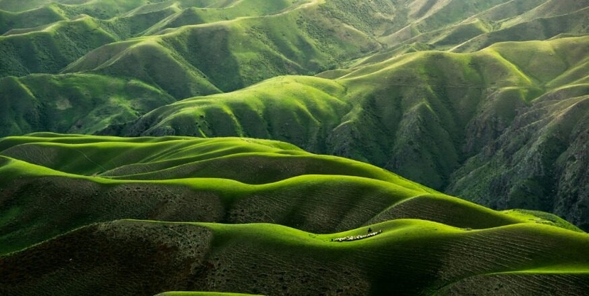 Working Groups - INQUA