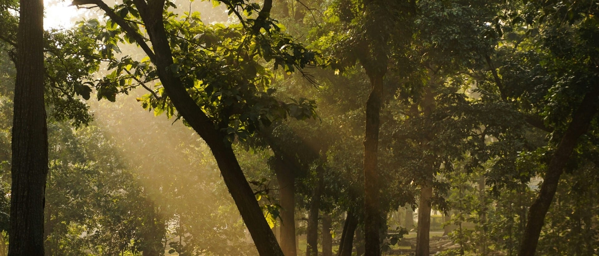 International Union for Quaternary Research - INQUA